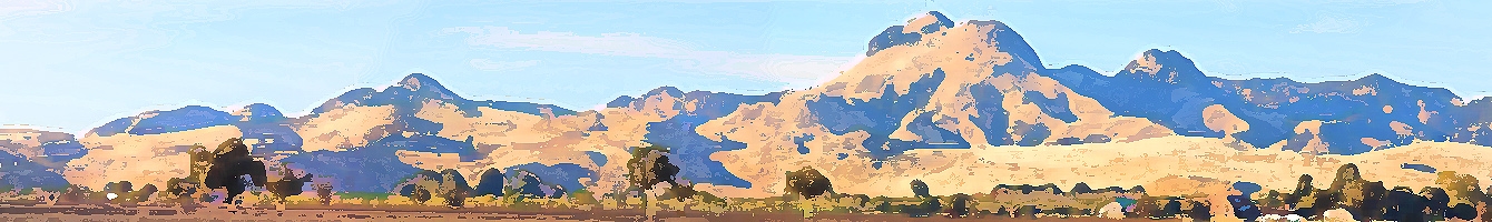 June Banner: Anthony Forster